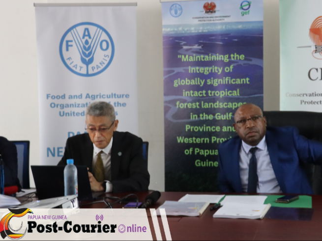 PNG Strengthens rainforest protection through GEF-8 funded project | PIPAP